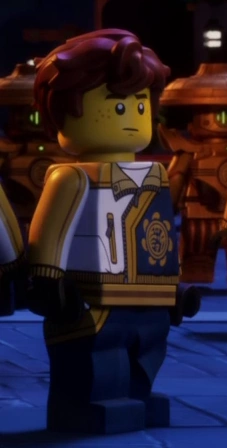 Rogue (Ninjago) | Villains Wiki | Fandom
