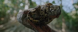 Crimson Anaconda | Villains Wiki | Fandom