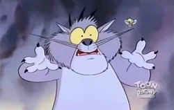 Fat Cat Cartoon Network