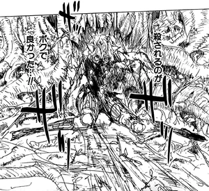 Neferpitou/Gallery | Villains Wiki | Fandom