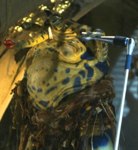 Sy Snootles | Villains Wiki | Fandom