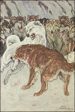 The Call Of The Wild Buck And Spitz Fighting