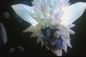 SpaceGodzilla (Heisei)/Gallery | Villains Wiki | Fandom