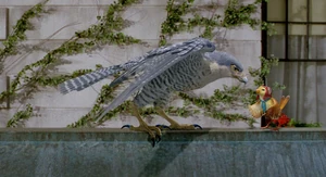 Falcon (Stuart Little)/Gallery | Villains Wiki | Fandom