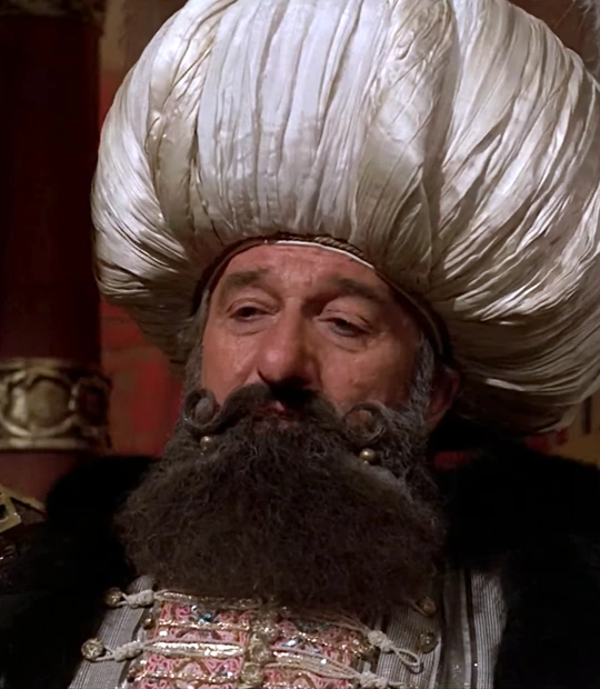 Sultan (The Adventures of Baron Munchausen) | Villains Wiki | Fandom