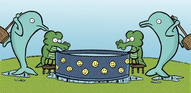 Killer Dolphins | Villains Wiki | Fandom