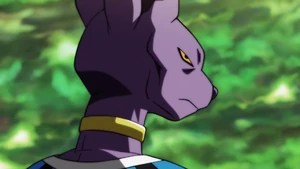 Beerus/Gallery | Villains Wiki | Fandom