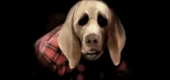 Dog Nightmare | Villains Wiki | Fandom