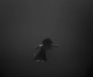 The Mermaid (The Lighthouse) | Villains Wiki | Fandom