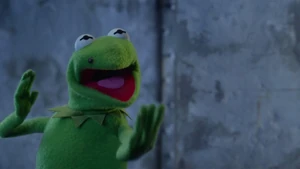 Constantine (Muppets) | Villains Wiki | Fandom