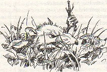 Wilce | Villains Wiki | Fandom