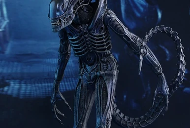 The Raven Xenomorph