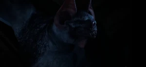 Man-Bat Commandos (Gotham Knights) | Villains Wiki | Fandom