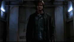 Alpha Shapeshifter | Villains Wiki | Fandom