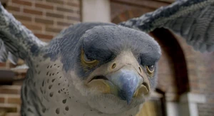 Falcon (Stuart Little)/Gallery | Villains Wiki | Fandom
