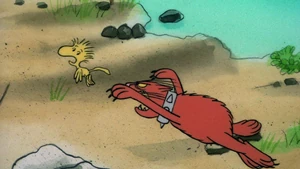 Brutus (Peanuts)/Gallery | Villains Wiki | Fandom