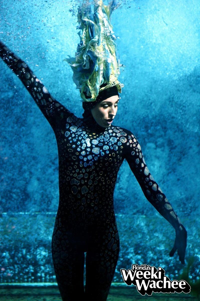 Sea Witch (Weeki Wachee Springs) | Villains Wiki | Fandom