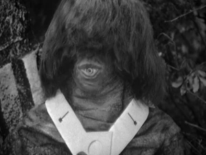 Monoid One | Villains Wiki | Fandom