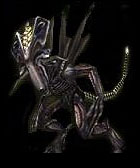 Praetorian Xenomorphs | Villains Wiki | Fandom
