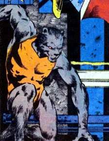 Weasel (DC)/Gallery | Villains Wiki | Fandom