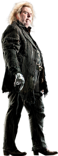 Peter Pettigrew (Warner Bros.) | Villains Wiki | Fandom