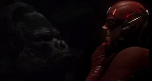 Grodd (Arrowverse)/Gallery | Villains Wiki | Fandom