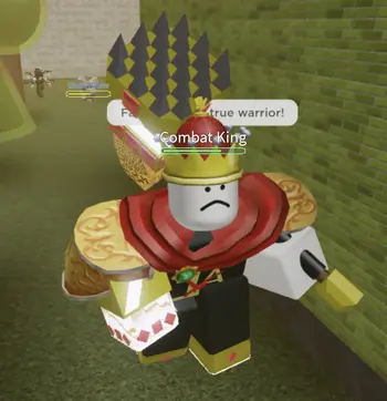 Combat King | Villains Wiki | Fandom