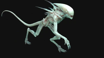 Neomorphs | Villains Wiki | Fandom