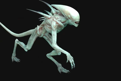 prometheus white alien name