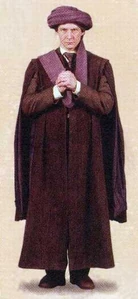 Quirinus Quirrell | Villains Wiki | Fandom