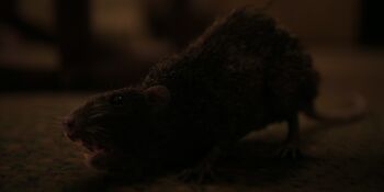 Rat (Disney) | Villains Wiki | Fandom