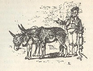 Coachman (Pinocchio) | Villains Wiki | Fandom