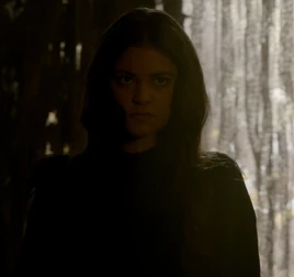 The Hollow | Villains Wiki | Fandom