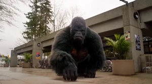 Grodd (Arrowverse)/Gallery | Villains Wiki | Fandom