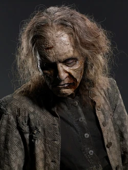 Cabin In The Woods Buckner Family