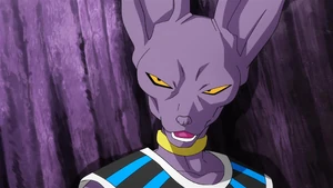 Beerus/Gallery | Villains Wiki | Fandom