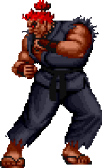 Akuma (Street Fighter) | Villains Wiki | Fandom