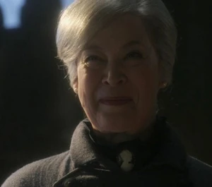 Female Furies (Smallville) | Villains Wiki | Fandom