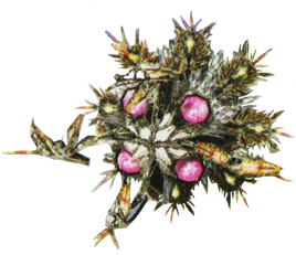 Aparoid Queen | Villains Wiki | Fandom