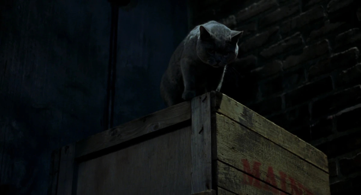 Smokey (Stuart Little)/Gallery | Villains Wiki | Fandom