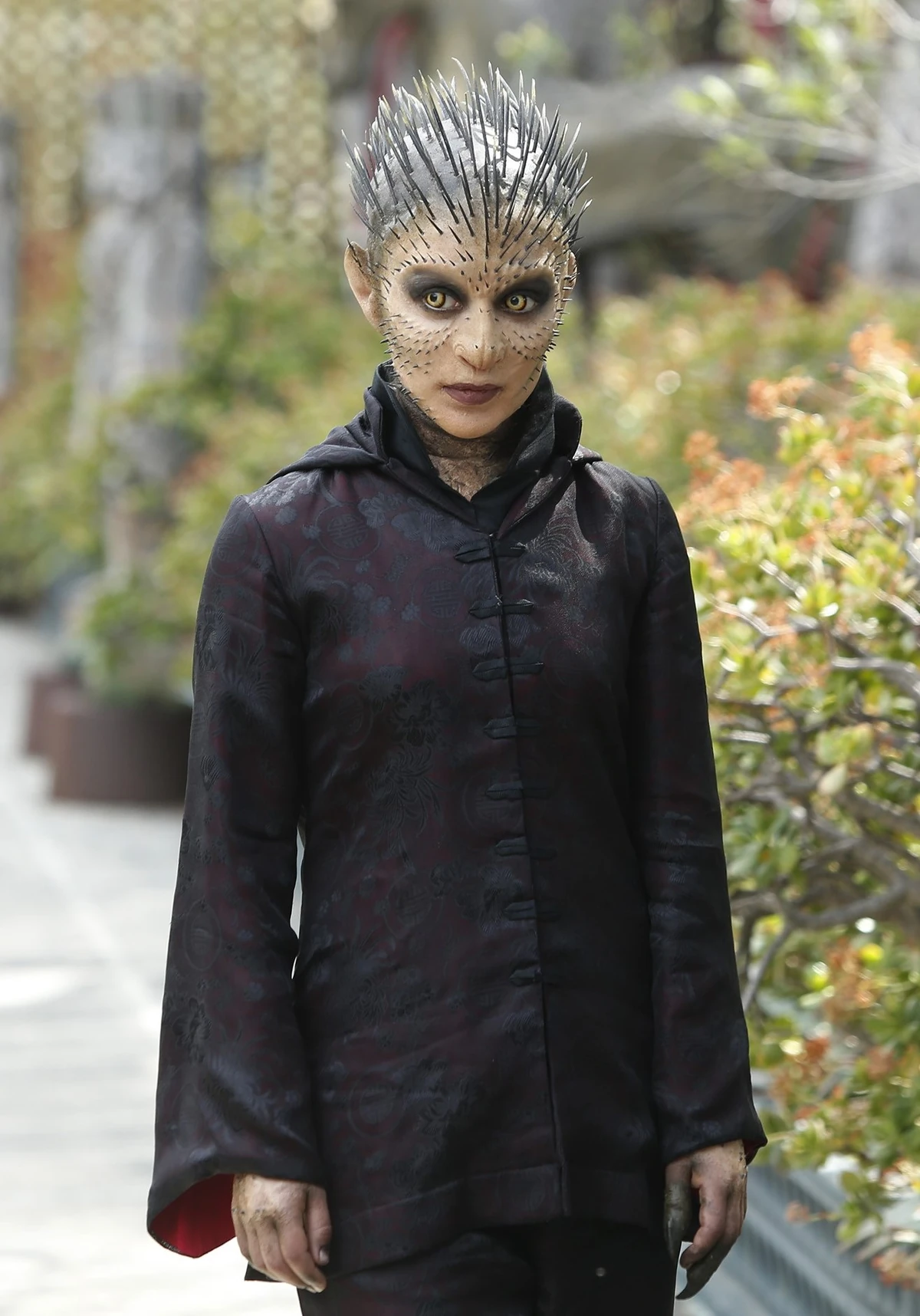 Raina | Villains Wiki | Fandom