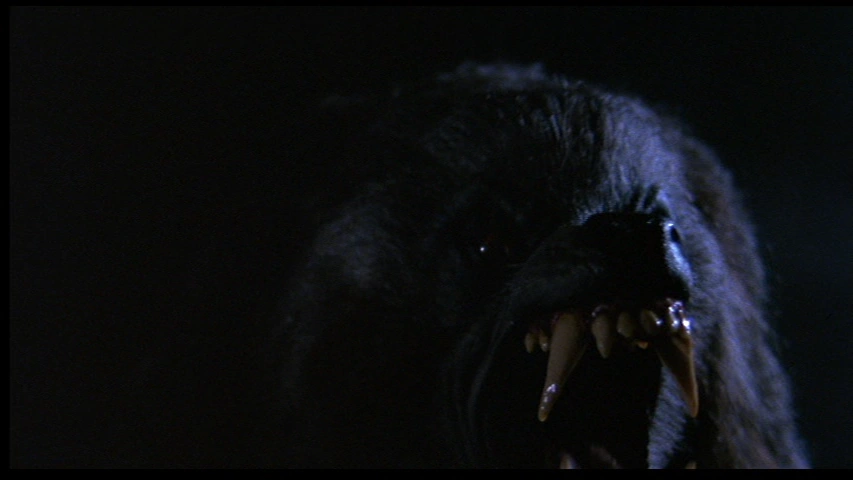 Werewolf (An American Werewolf in London) | Villains Wiki | Fandom