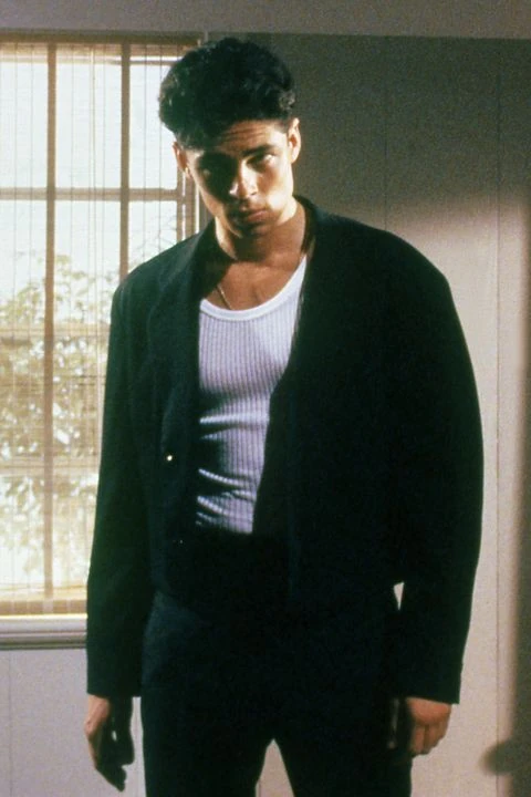 Benicio Del Toro James Bond