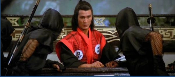 Ninja Master (5 Element Ninjas) | Villains Wiki | Fandom