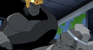 Gorilla Grodd (DC Animated Universe)/Gallery | Villains Wiki | Fandom
