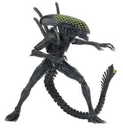 Avp Grid Alien