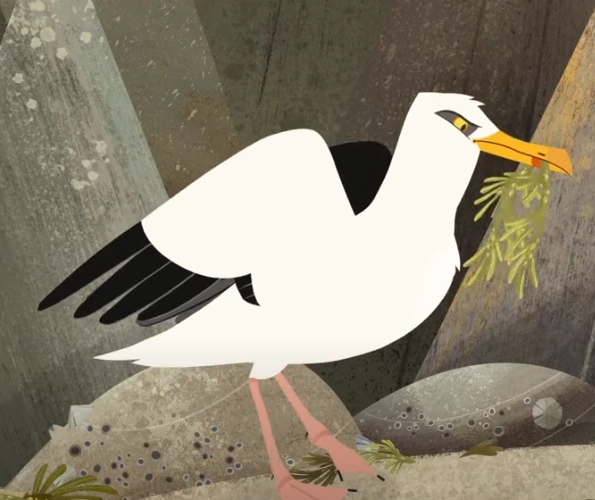 Black-Backed Gull | Villains Wiki | Fandom