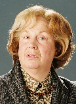 Marge Dursley | Villains Wiki | Fandom