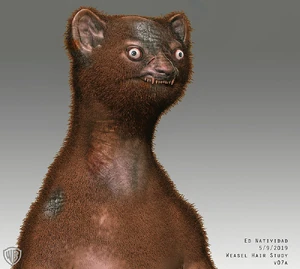 Weasel (DC Extended Universe)/Gallery | Villains Wiki | Fandom