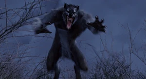 Grey Werewolf | Villains Wiki | Fandom
